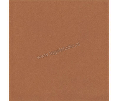 Marazzi Confetto Mattone Vloertegel 10x10cm MDSG R9