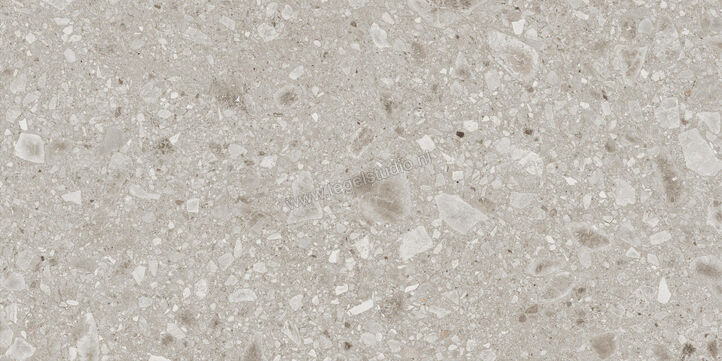 Ragno Realstone_Ceppo Beige Vloertegel 60x120cm RCX4 R11 C