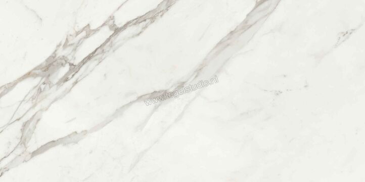 Villeroy & Boch Marble Selection Statuario Vloertegel 60x120cm 2960 M10P 0