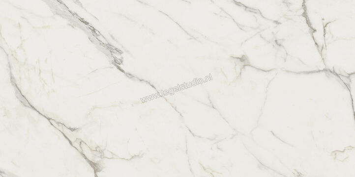 Atlas Concorde Marvel Calacatta Extra Vloertegel 60x120cm A208 R10 B