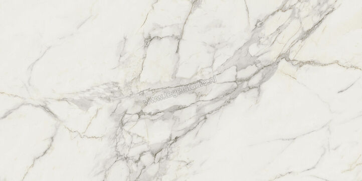 Atlas Concorde Marvel Calacatta Extra Vloertegel 60x120cm A208 R10 B